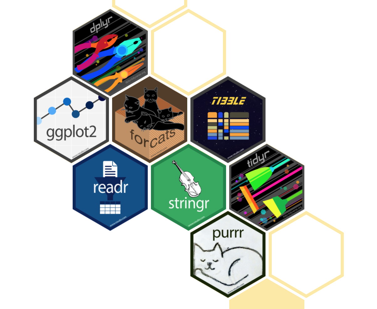 IN2039 Data Visualization – Tipos de Variables